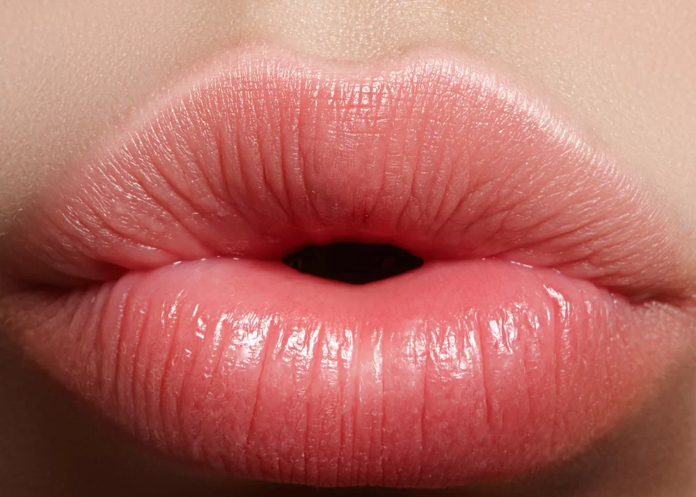 Gym Lips Comment Obtenir Des Lèvres Pulpeuses
